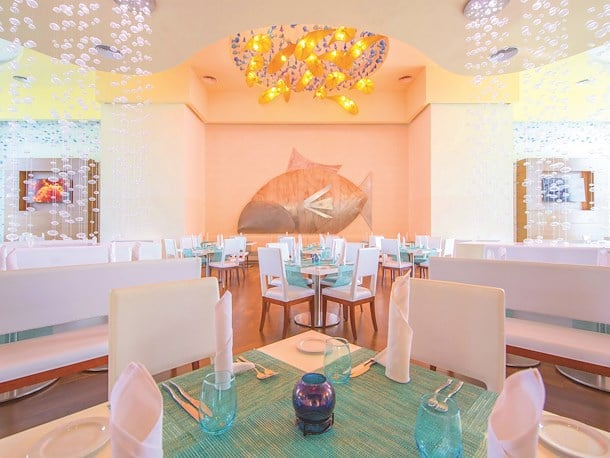 Royalton Splash – Marriott All - Inclusive Resort